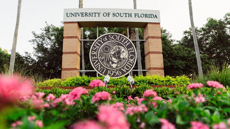 University-of-South-Florida - Best Education Degrees